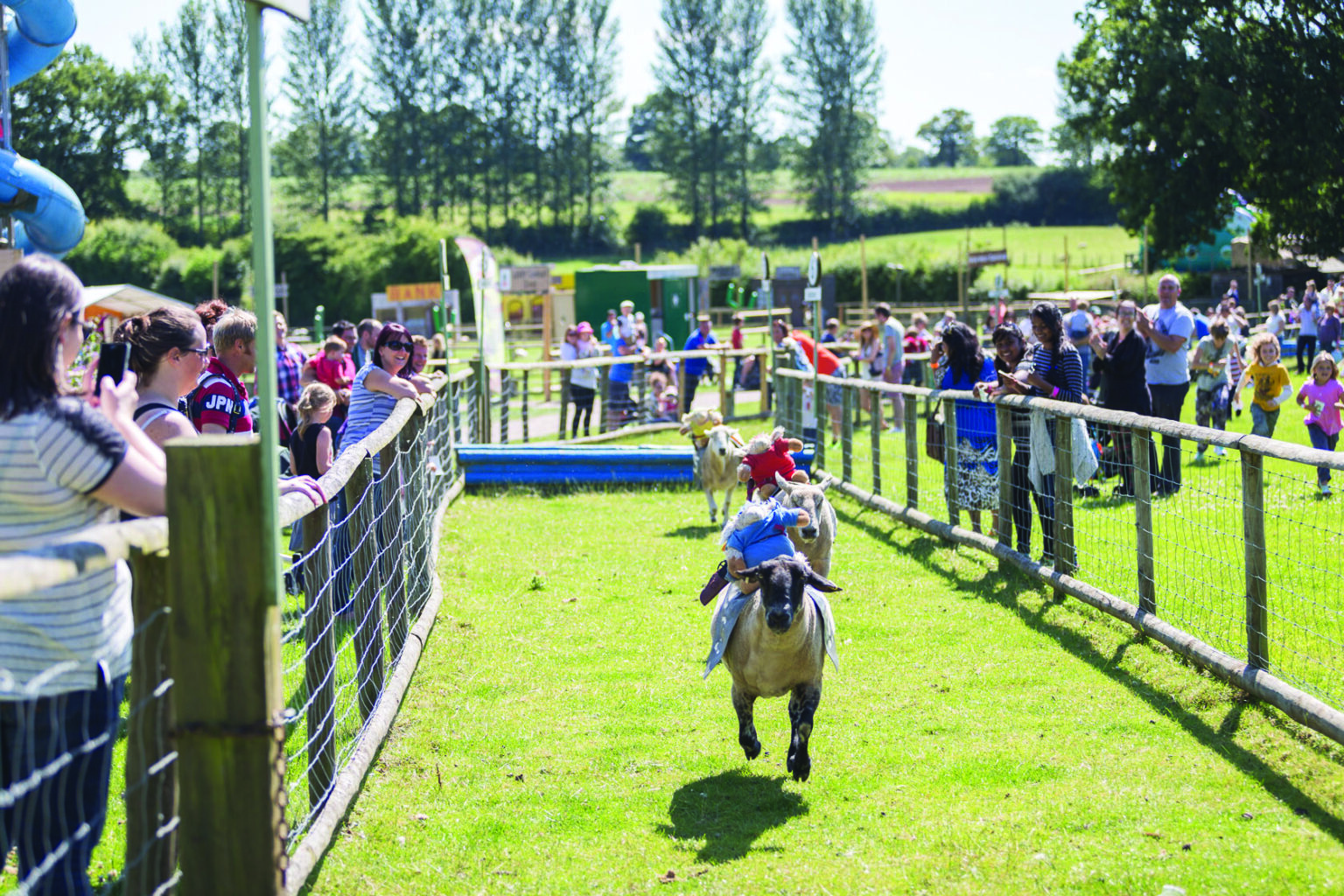 Gallery and Testimonials - Hatton Estate